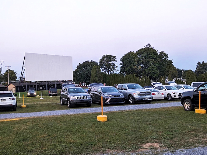 Twilight magic unfolds as cars line up facing the massive white screen, nature providing the perfect backdrop for cinematic adventures. 