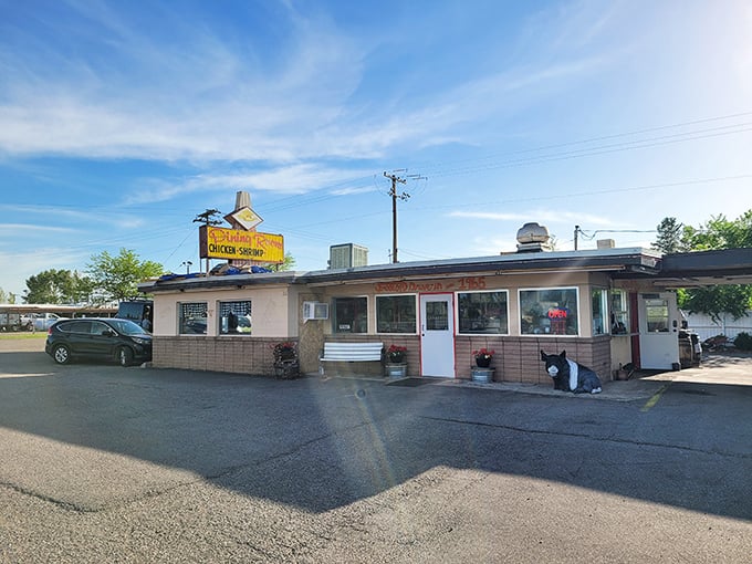 The time-capsule exterior of Frostop Drive In beckons with its vintage signage and welcoming bench&mdash;a portal to simpler, more delicious times.