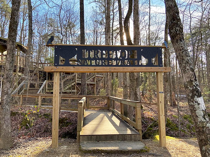 The wooden welcome sign stands like nature's invitation card, promising wild encounters with "live raptors" just steps away from civilization.