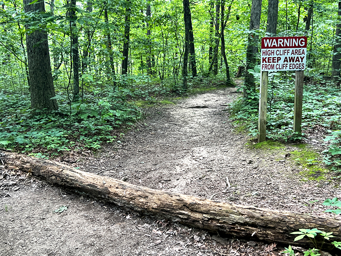 Nature's architectural remnants stand sentinel along the trail, offering glimpses of history amid the towering pines and distant valley views.