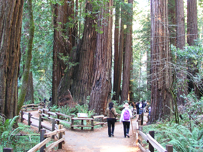 Muir Woods welcomes hikers with rustic charm and the promise of ancient redwoods waiting just beyond the wooden archway.