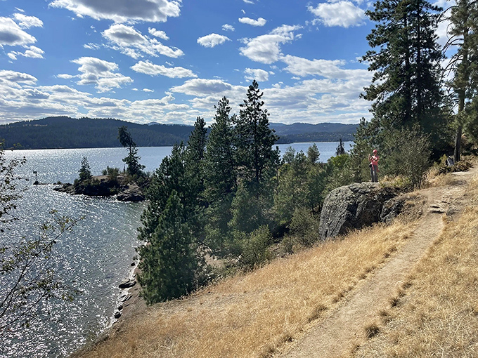 Nature's balcony overlooking Lake Coeur d'Alene, where every turn offers another "I should frame this" moment. The postcard view that actually exceeds expectations.
