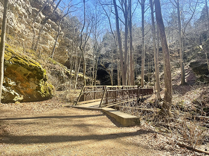 A wooden footbridge invites hikers into nature's embrace at Big Rocky Hollow. The perfect first step into an Illinois adventure that feels worlds away.