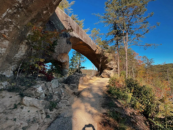 Nature's perfect archway beckons hikers forward, promising adventure just steps away. The sandstone marvel frames the Kentucky sky like a geological masterpiece.