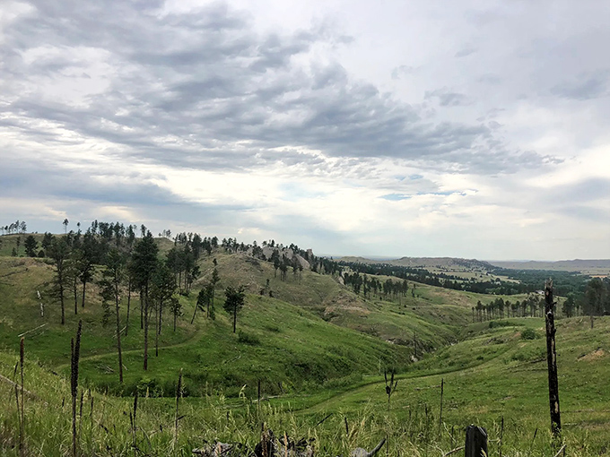 Nature's perfect contradiction: endless sky meets intimate trail. Nebraska's Pine Ridge area proves flat stereotypes wrong with every rolling hill.