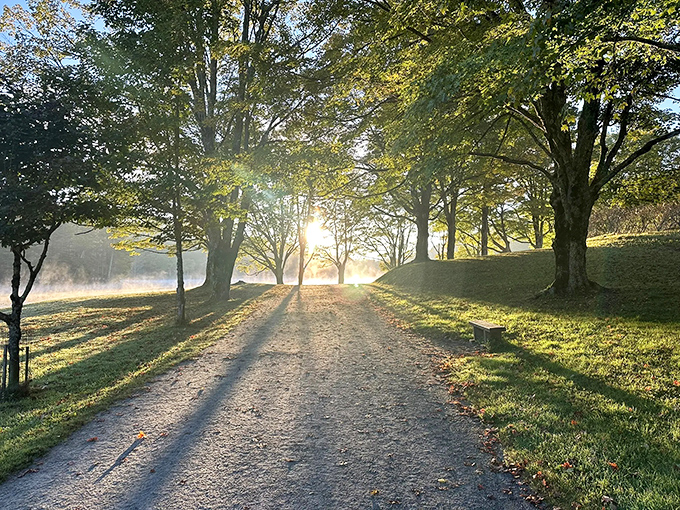 The path beckons with promises of tranquility, where sunlight filters through ancient trees creating nature's own cathedral ceiling.