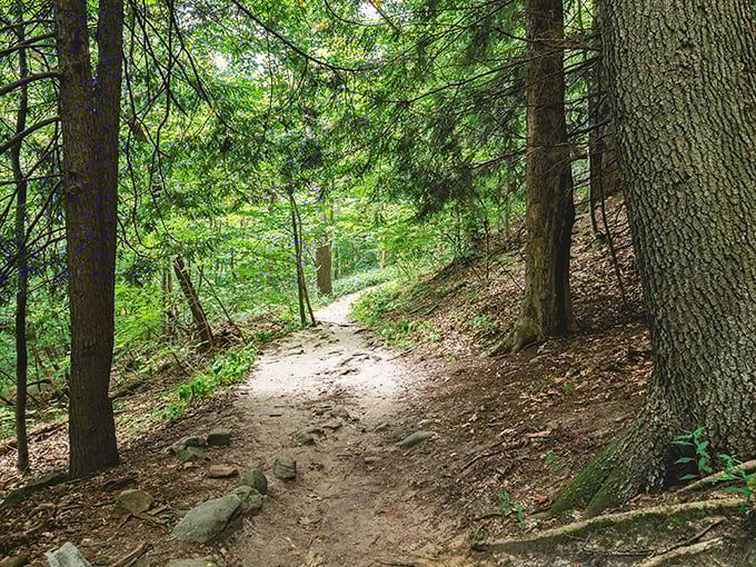 Nature's welcome mat unfurls before you on Ledges Trail, where sunlight plays hide-and-seek through the canopy and adventure beckons around every bend.