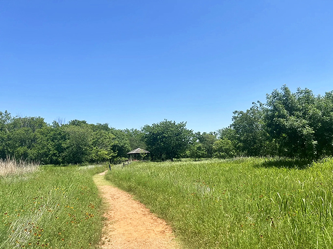 Nature's welcome mat unfurls in golden hues. This sunlit trail through prairie grasses offers an escape just minutes from city life.