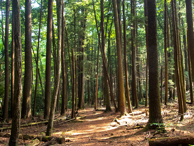 1. the scenic and easy trail in pennsylvania that&rsquo;ll give you the most unexpectedly perfect mother&rsquo;s day