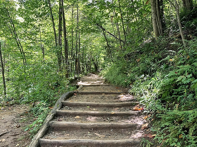 Nature's perfect symphony in motion - rushing water carving through ancient stone as sunlight filters through a green canopy. Tennessee's Great Smoky Mountains at their most poetic.
