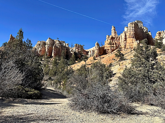 Nature's perfect welcome mat: an untraveled path leading to towering hoodoos that look like they've been painted by a sunset-obsessed artist.