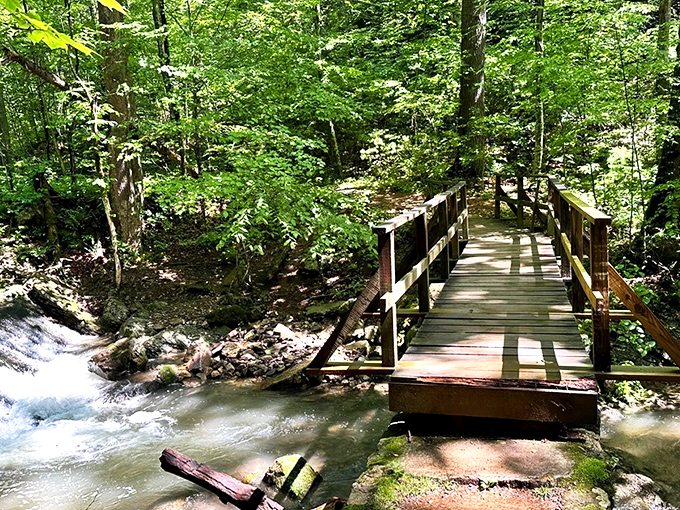 The wooden footbridge seems to whisper, "Adventure this way!" Nature's perfect gateway connecting civilization to wilderness at Roaring Run.