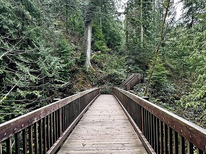 The trail beckons with its rustic wooden railings, like nature's version of the yellow brick road&mdash;only greener, mossier, and with significantly fewer munchkins.