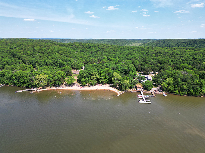 Nature's perfect balance: towering trees frame the sandy shoreline while gentle waves invite visitors to wade into the clear blue waters of this hidden paradise. 