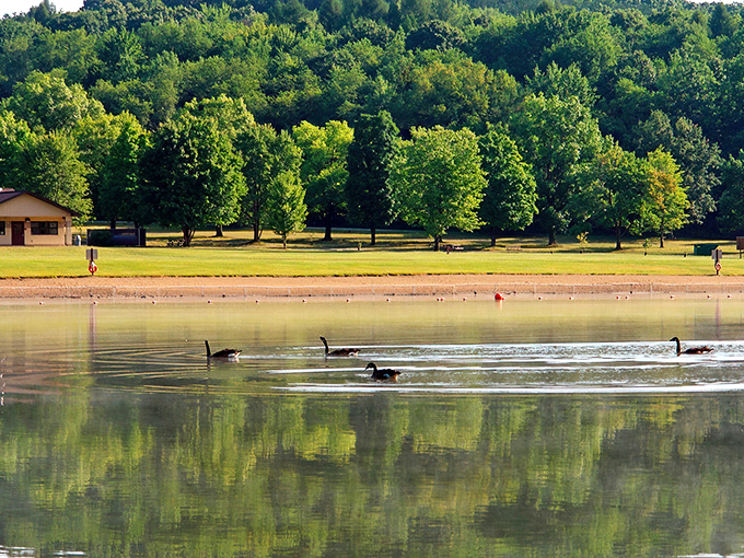 Geese glide across Keystone's tranquil waters, sharing the uncrowded paradise with just a handful of visitors&mdash;nature's secret theater.