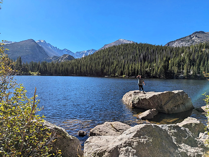 Fall's golden touch transforms this trail into nature's runway. The well-maintained path invites even reluctant hikers to strut their stuff.