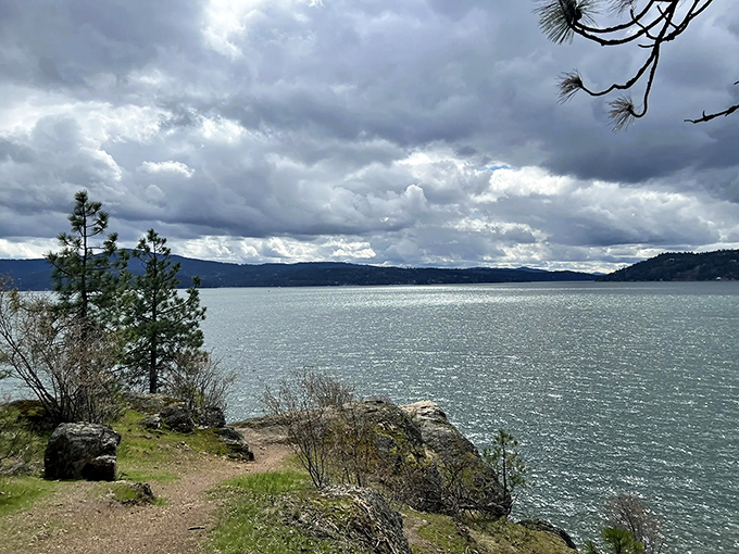 Nature's balcony overlooking Lake Coeur d'Alene, where every turn offers another "I should frame this" moment. The postcard view that actually exceeds expectations.