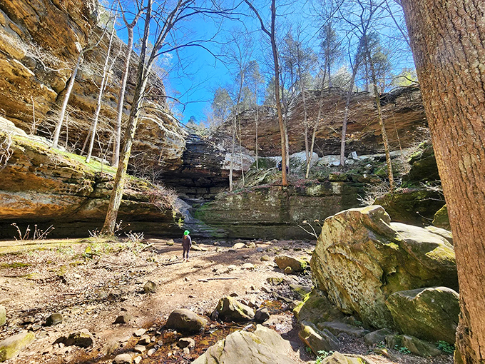 Nature's amphitheater reveals itself at Big Rocky Hollow, where towering sandstone walls embrace hikers in geological splendor.