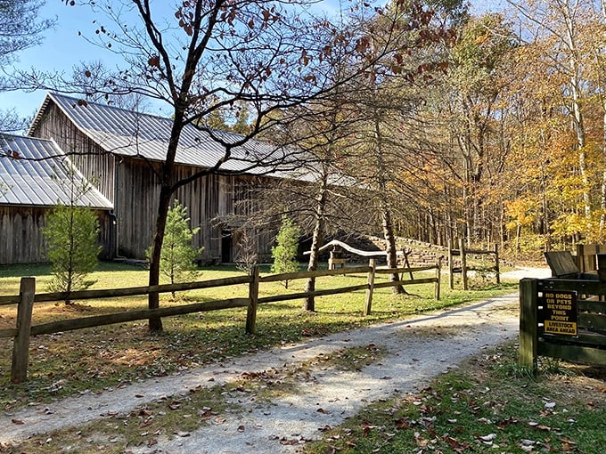 Historic log cabins nestled among bare trees tell stories of pioneer life, creating an open-air time machine just steps from the trail.