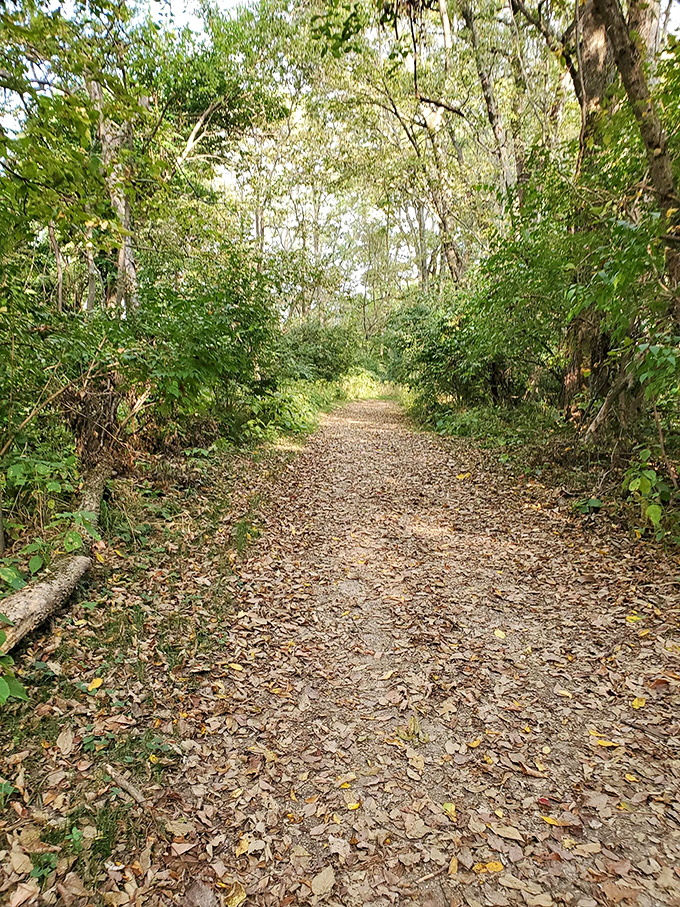 The path less traveled becomes the memory most treasured. Dappled sunlight plays across this inviting trail, nature's red carpet rolled out just for you.