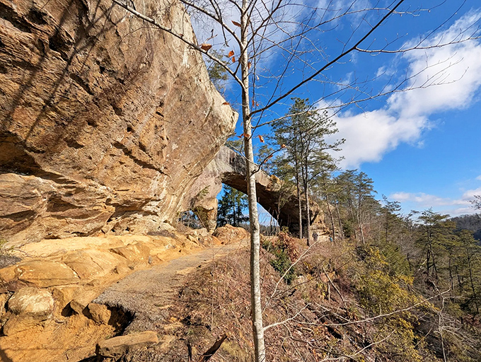 Nature's perfect archway beckons hikers forward, promising adventure just steps away. The sandstone marvel frames the Kentucky sky like a geological masterpiece.