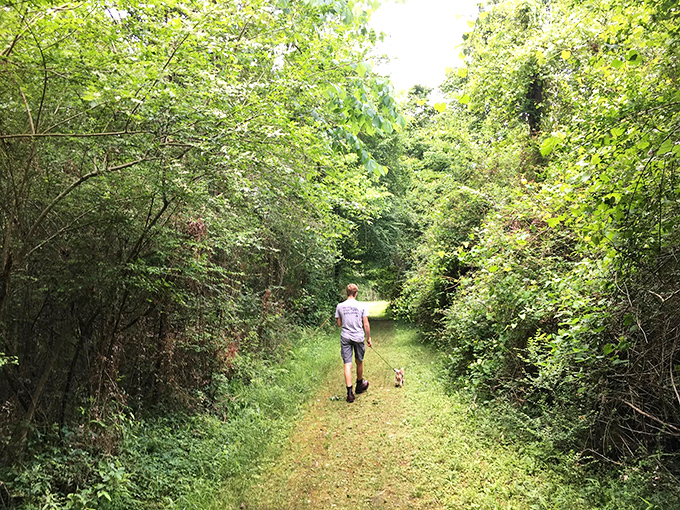 The suspension bridge at Tickfaw beckons like a portal to another world, where the only decision is whether to cross it or photograph it first. 