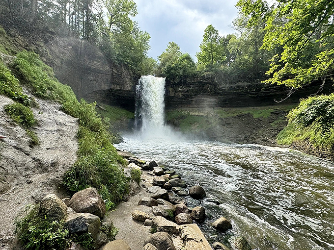 Nature's green cathedral awaits just steps from the city. This shaded pathway feels like stepping into a secret garden movie set.