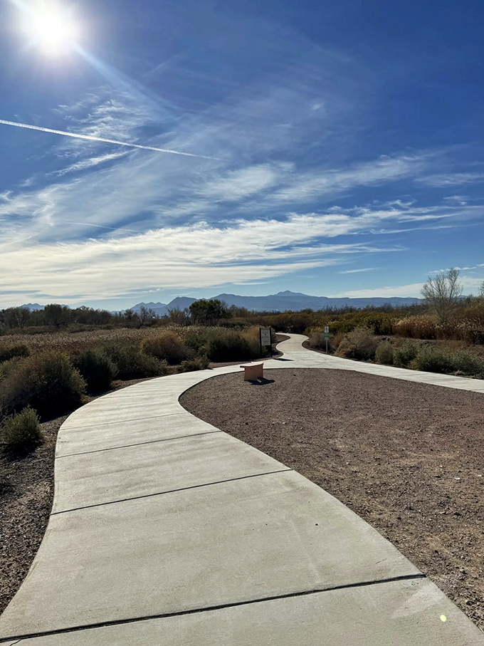 The path less traveled beckons with desert whispers. Nature's hallway, framed by mesquite and brush, invites you into Vegas's secret garden.