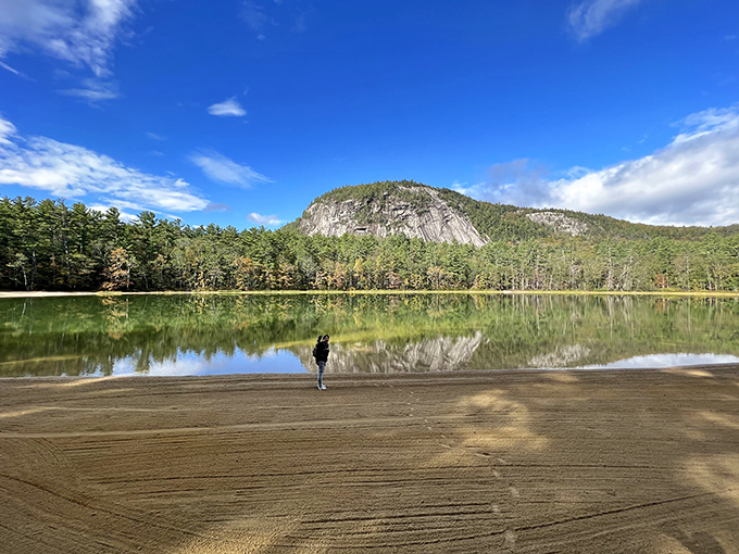 Towering pines create nature's perfect colonnade along Echo Lake's shoreline, where sandy paths and peaceful waters meet in perfect harmony.