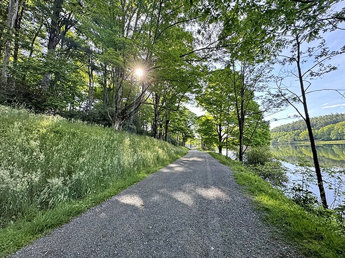 The path beckons with promises of tranquility, where sunlight filters through ancient trees creating nature's own cathedral ceiling. 
