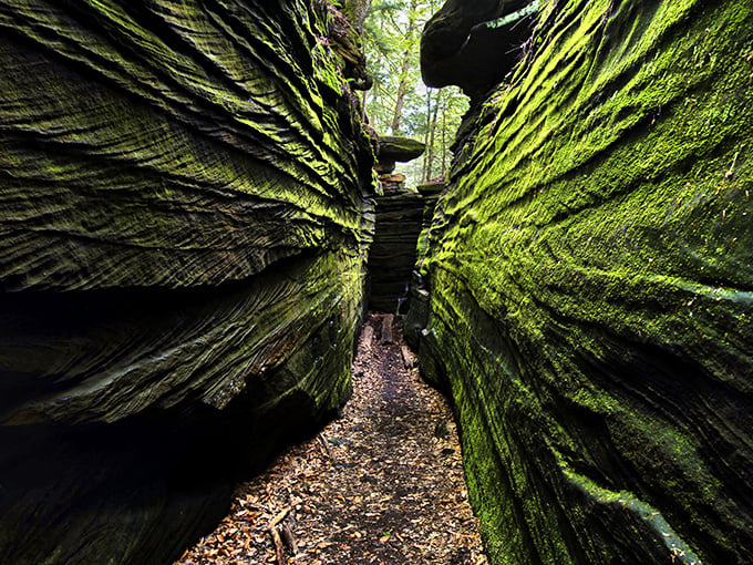 Nature's welcome mat unfurls before you on Ledges Trail, where sunlight plays hide-and-seek through the canopy and adventure beckons around every bend.