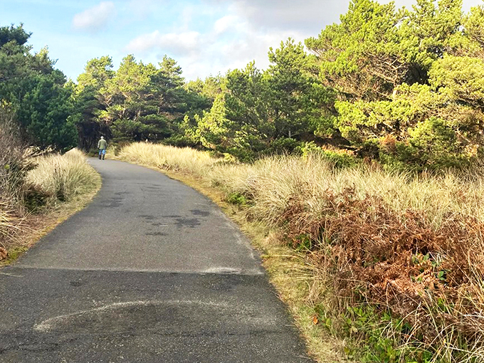 The welcoming sign at South Jetty offers more than directions&mdash;it's your first taste of adventure in this slice of Oregon Dunes National Recreation Area paradise. 