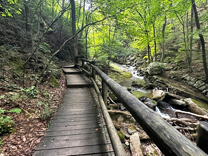 The wooden footbridge seems to whisper, "Adventure this way!" Nature's perfect gateway connecting civilization to wilderness at Roaring Run.