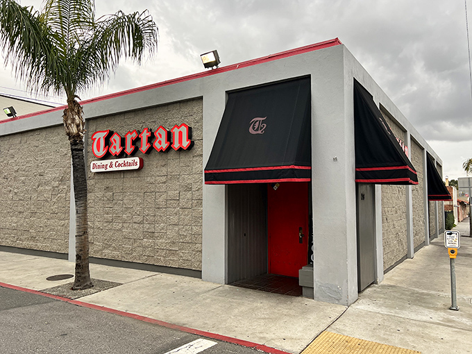 The iconic red Tartan sign beckons like a lighthouse for hungry souls. That bright red door promises culinary adventures within those stone walls.