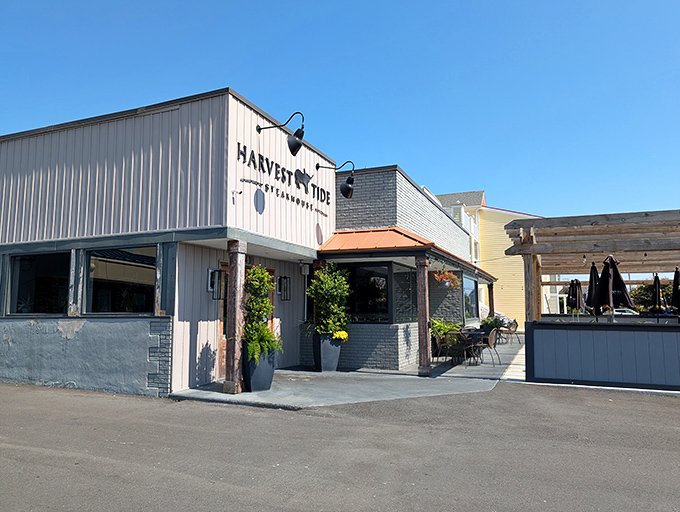 The unassuming exterior of Harvest Tide Steakhouse hides a carnivore's paradise within. Delaware's best-kept secret stands ready to transform your definition of the perfect steak.