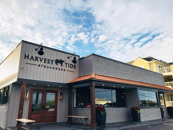 The unassuming exterior of Harvest Tide Steakhouse hides a carnivore's paradise within. Delaware's best-kept secret stands ready to transform your definition of the perfect steak.