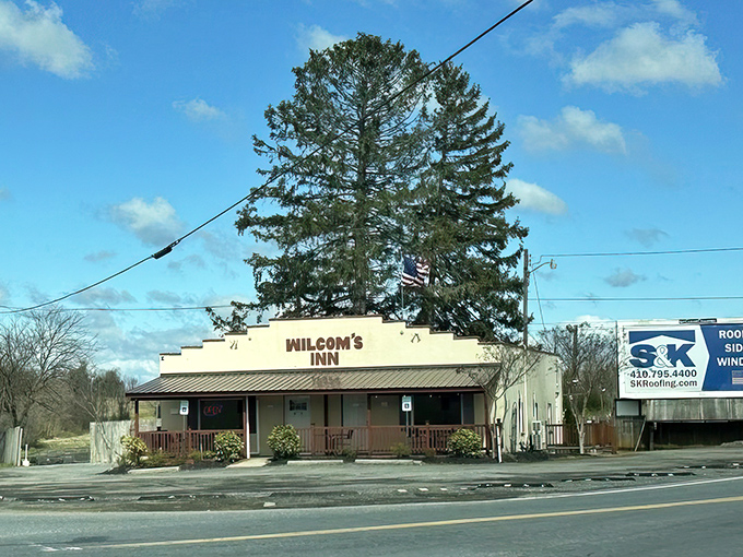 Unassuming on the outside, extraordinary on the inside – Wilcom's Inn stands like a culinary speakeasy beneath Maryland skies, with that towering pine tree serving as nature's maître d'.