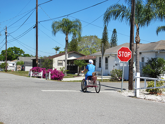 Where palm trees meet prayer caps: A resident navigates Pinecraft's quiet streets on a three-wheeled bicycle, the preferred transportation in this unique Amish-Mennonite enclave.