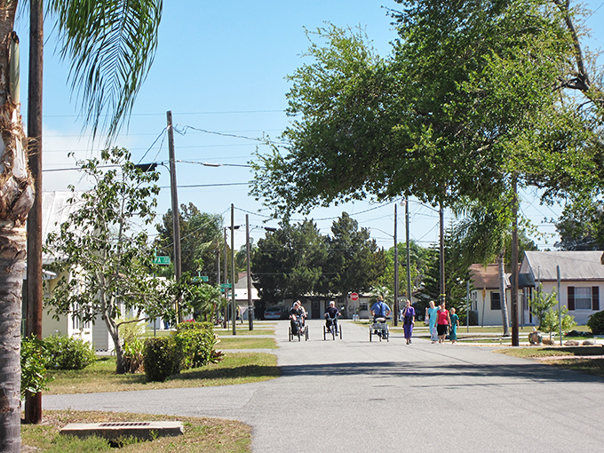 Where palm trees meet prayer caps: A resident navigates Pinecraft's quiet streets on a three-wheeled bicycle, the preferred transportation in this unique Amish-Mennonite enclave. 