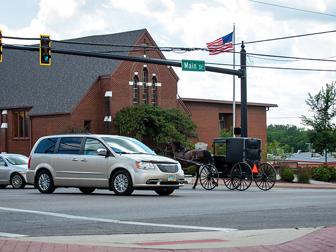 Where worlds collide: An Amish buggy shares the road with modern cars near Guggisberg Cheese Factory, while traditional haystacks dot the rolling hillside like nature's own artwork.