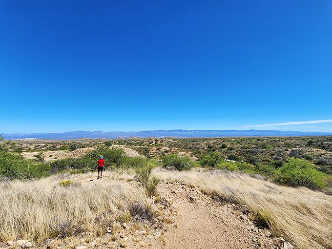 The winding trails of Oracle State Park beckon like nature's invitation card. Those mountains aren't just scenery&mdash;they're your next adventure waiting to happen.