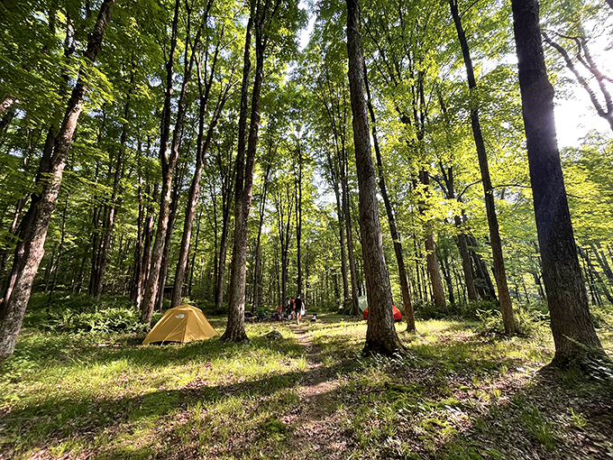 A wooden footbridge invites you into Macedonia Brook's verdant wonderland. Nature's welcome mat says, "Come on in, the serenity is fine!"