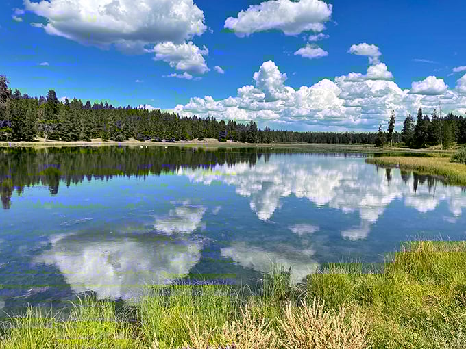The quintessential Idaho landscape &ndash; golden meadows, rustic barns, and endless sky. This is what postcards dream of becoming when they grow up.