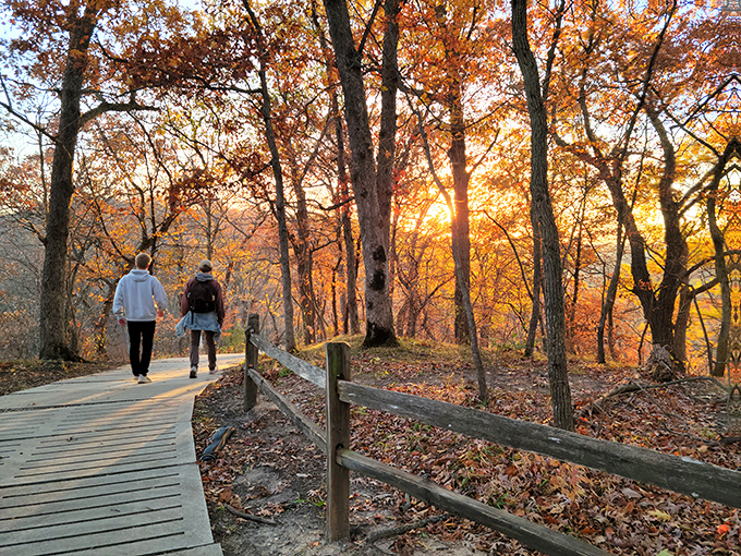 Nature's perfect mirror: sandstone cliffs reflect in the crystal-clear waters of Pea's Creek, creating Iowa's version of a double feature you don't need Netflix for.