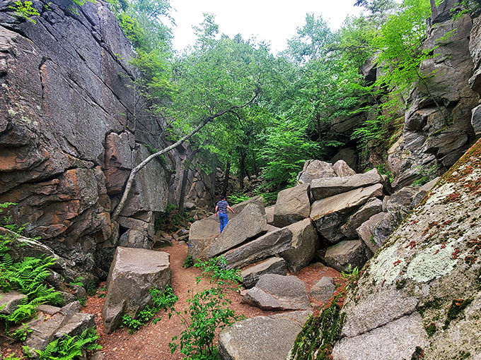 Nature's own grand canyon in miniature, where towering granite walls create a dramatic corridor that makes you feel wonderfully small in the best possible way.