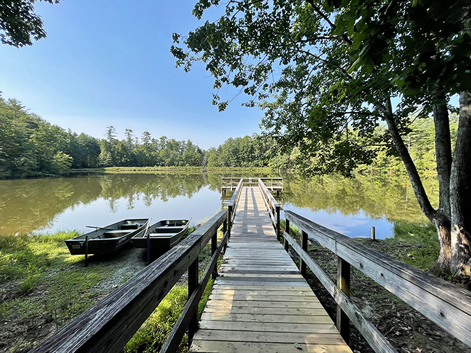 Fall's golden touch transforms Oconee's lake into nature's mirror, reflecting autumn's palette with a serenity that makes you forget deadlines even exist.