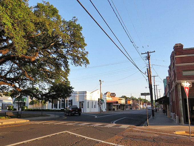 Abbeville's downtown looks like a movie set where time decided to take a pleasant detour around 1920 and never quite found its way back.