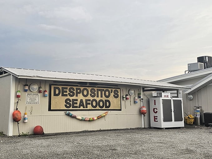 The unassuming white building with that bold red sign might fool you, but locals know—seafood paradise awaits inside this coastal gem.