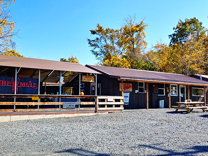 Blue skies and barbecue dreams &ndash; this unassuming wooden shack in Hesston might not look like much, but your nose will tell you otherwise.