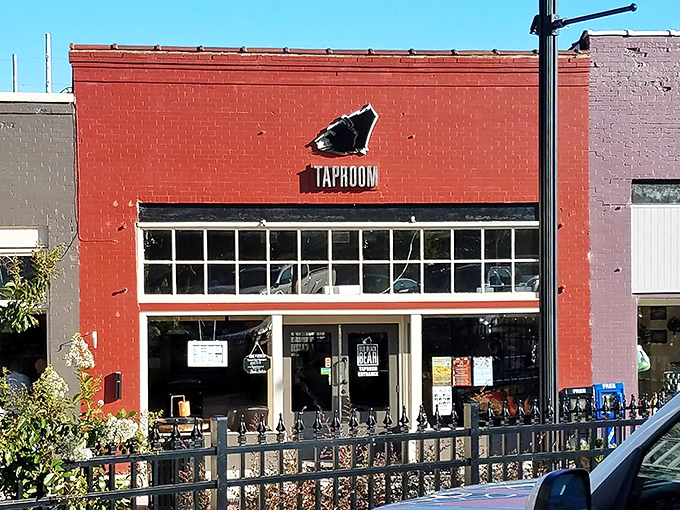 The vibrant red brick exterior of Old Black Bear Brewing Company stands as Madison's beacon for craft beer enthusiasts and root beer pilgrims alike.